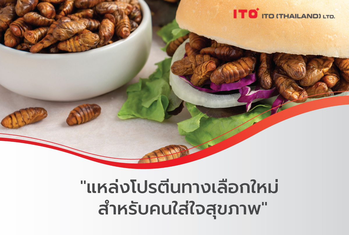อาหารทางเลือก Alternative foods : Protein｜ITO Thailand Hygiene Blog｜食品 ...